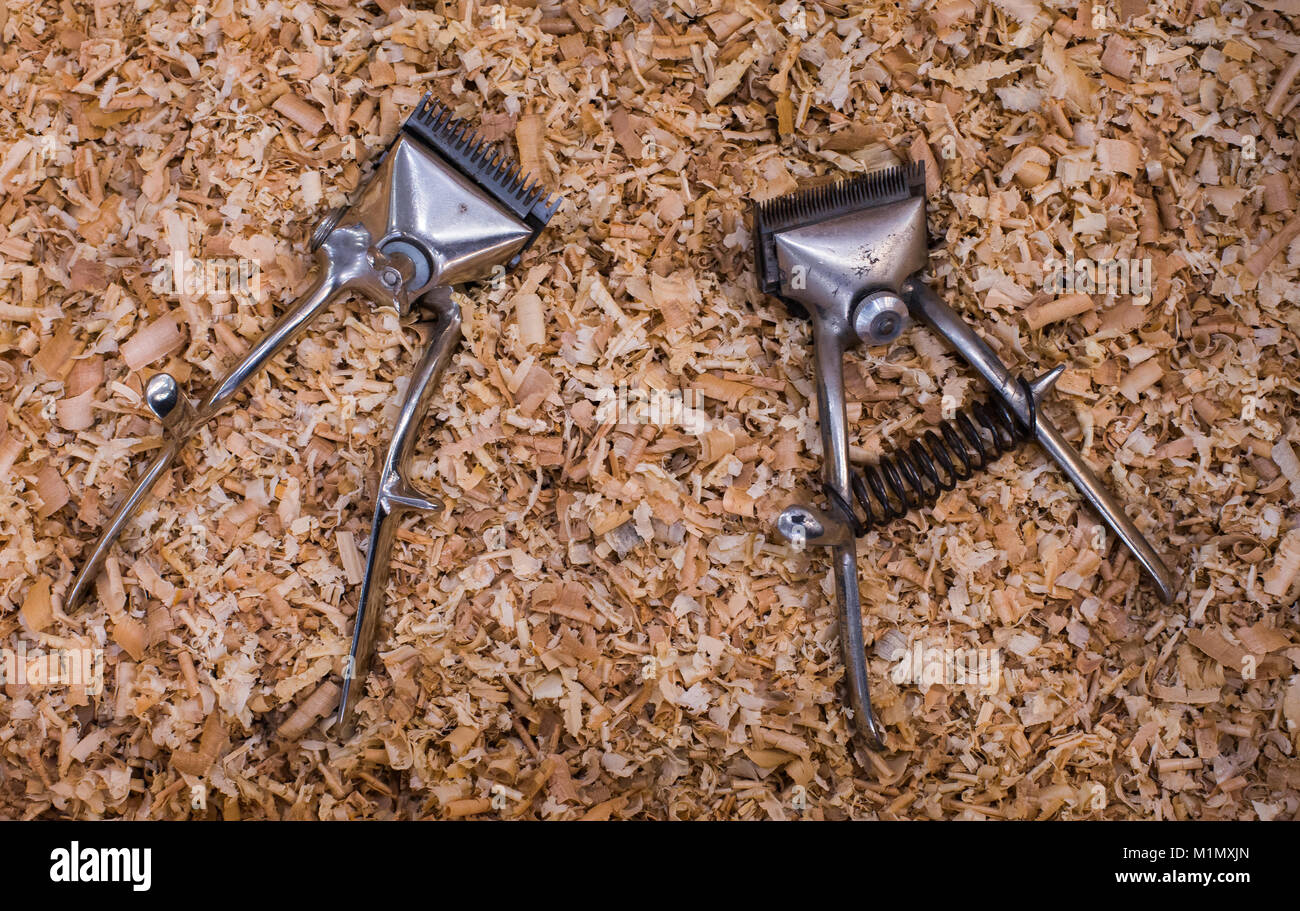 Vintage clippers on wood sawdust Stock Photo - Alamy