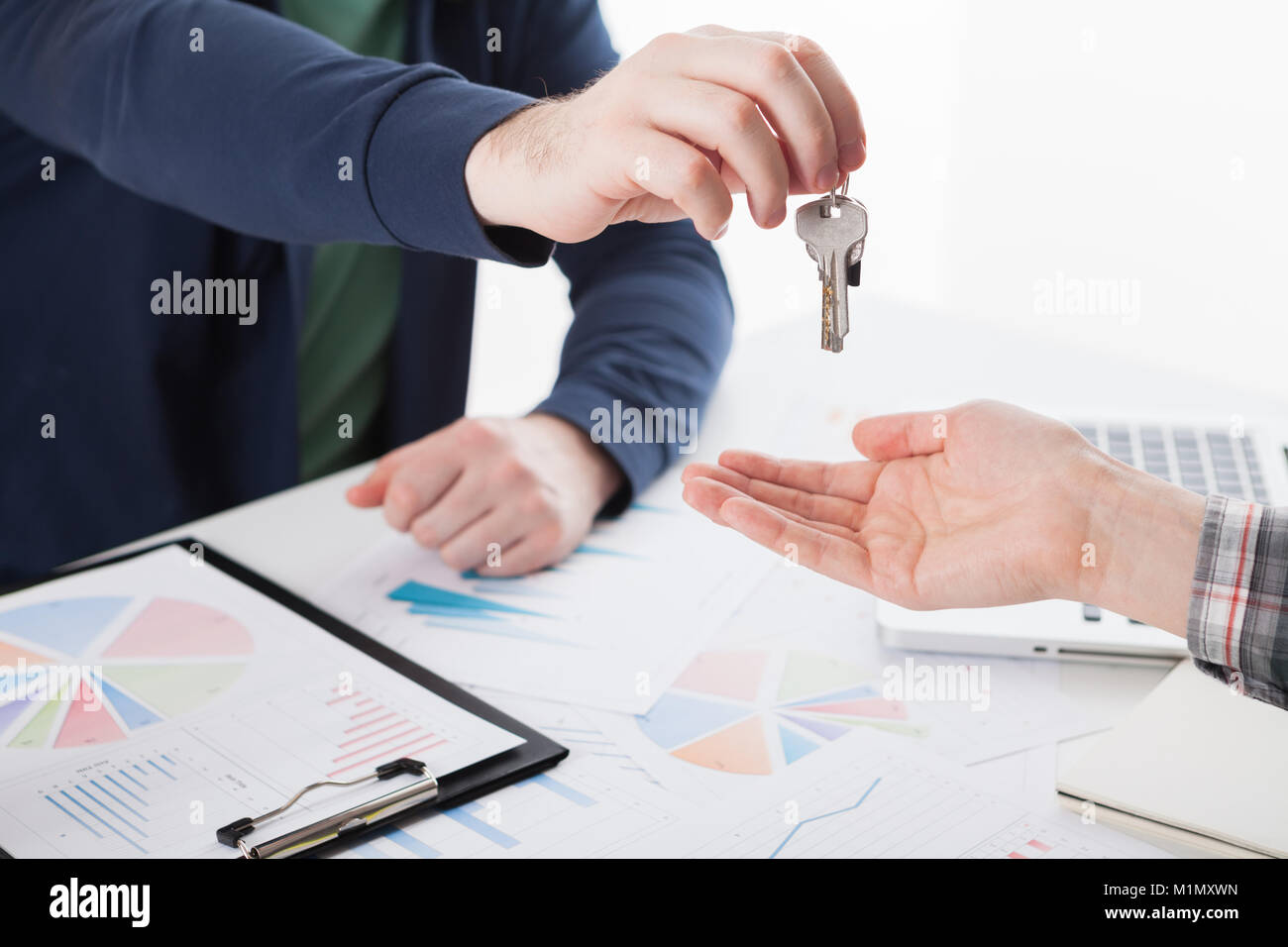 Man customer buying house plant hi-res stock photography and images - Alamy