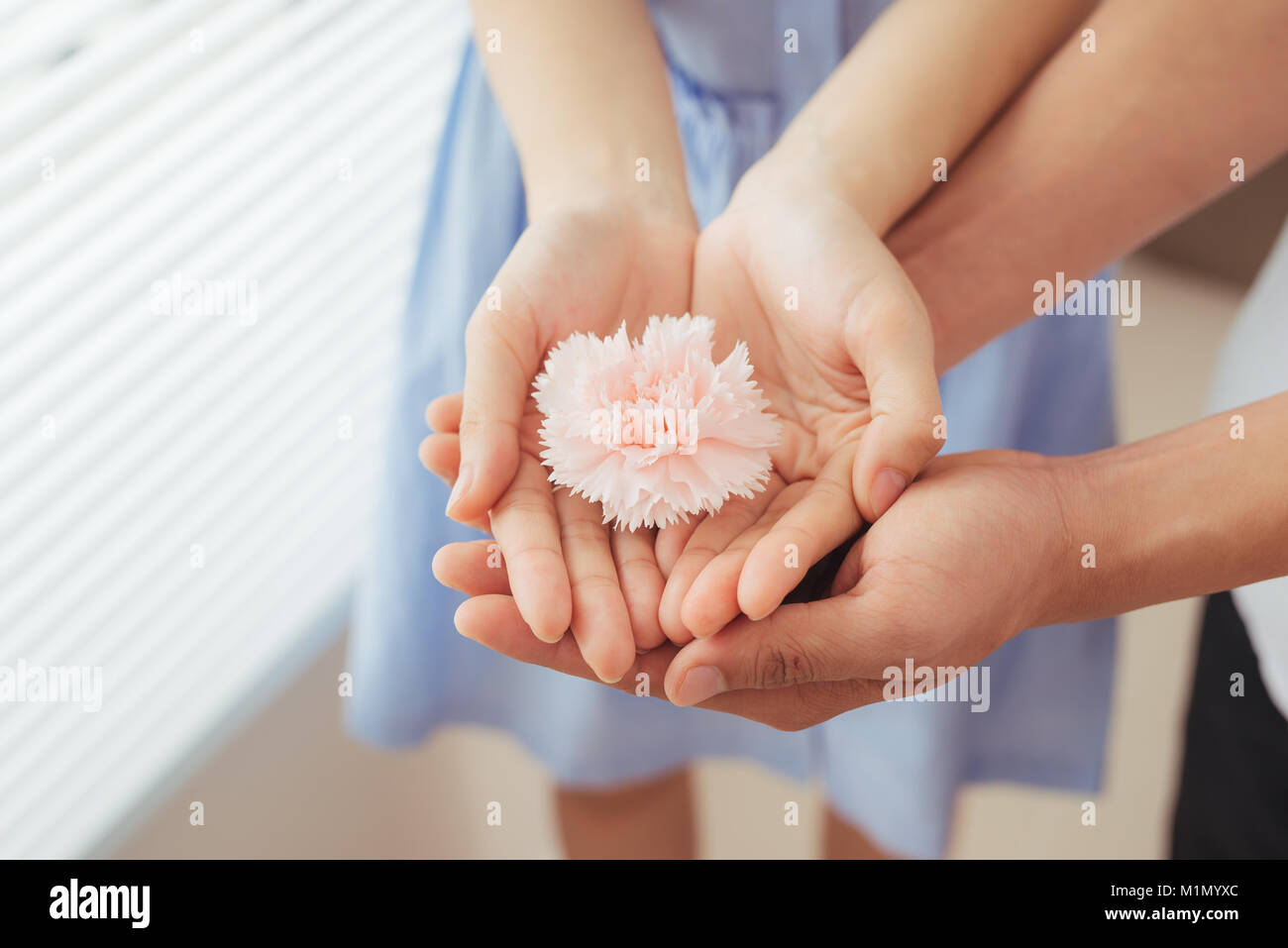 Couple in love. Man and woman hand over pink flower Stock Photo - Alamy