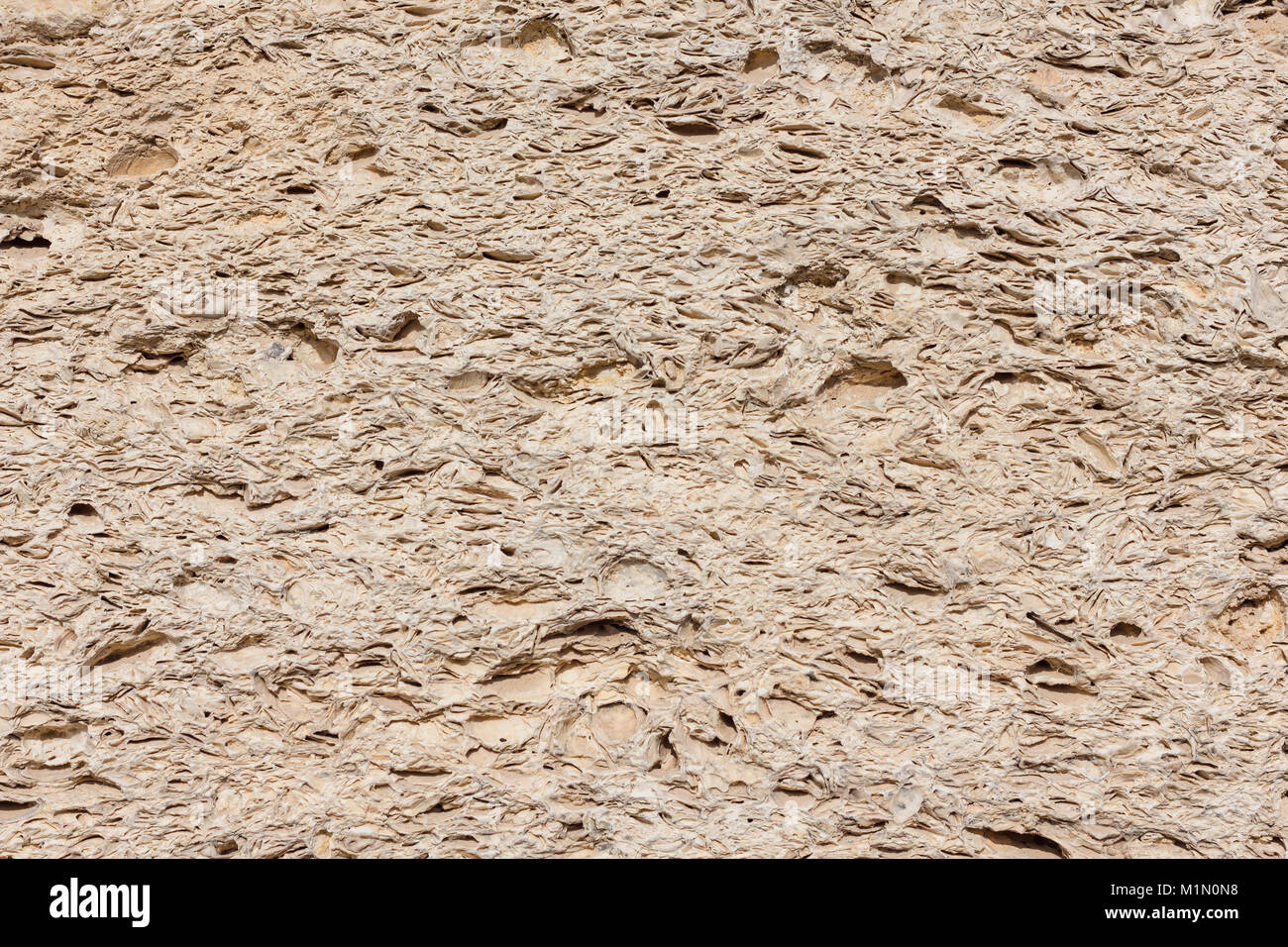 Coquina stone hi-res stock photography and images - Alamy