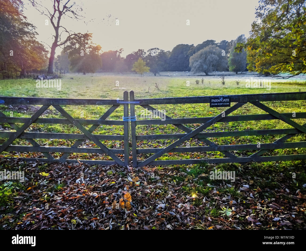 gate field fence farm rural countryside wood wooden Stock Photo - Alamy