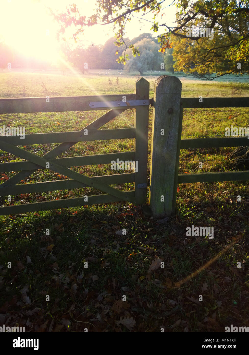 gate field fence farm rural countryside wood wooden Stock Photo - Alamy