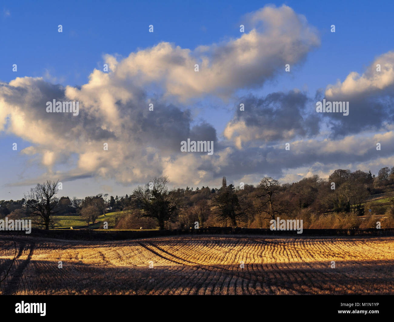 landscape farm farming fields lush green landscape england english uk ...