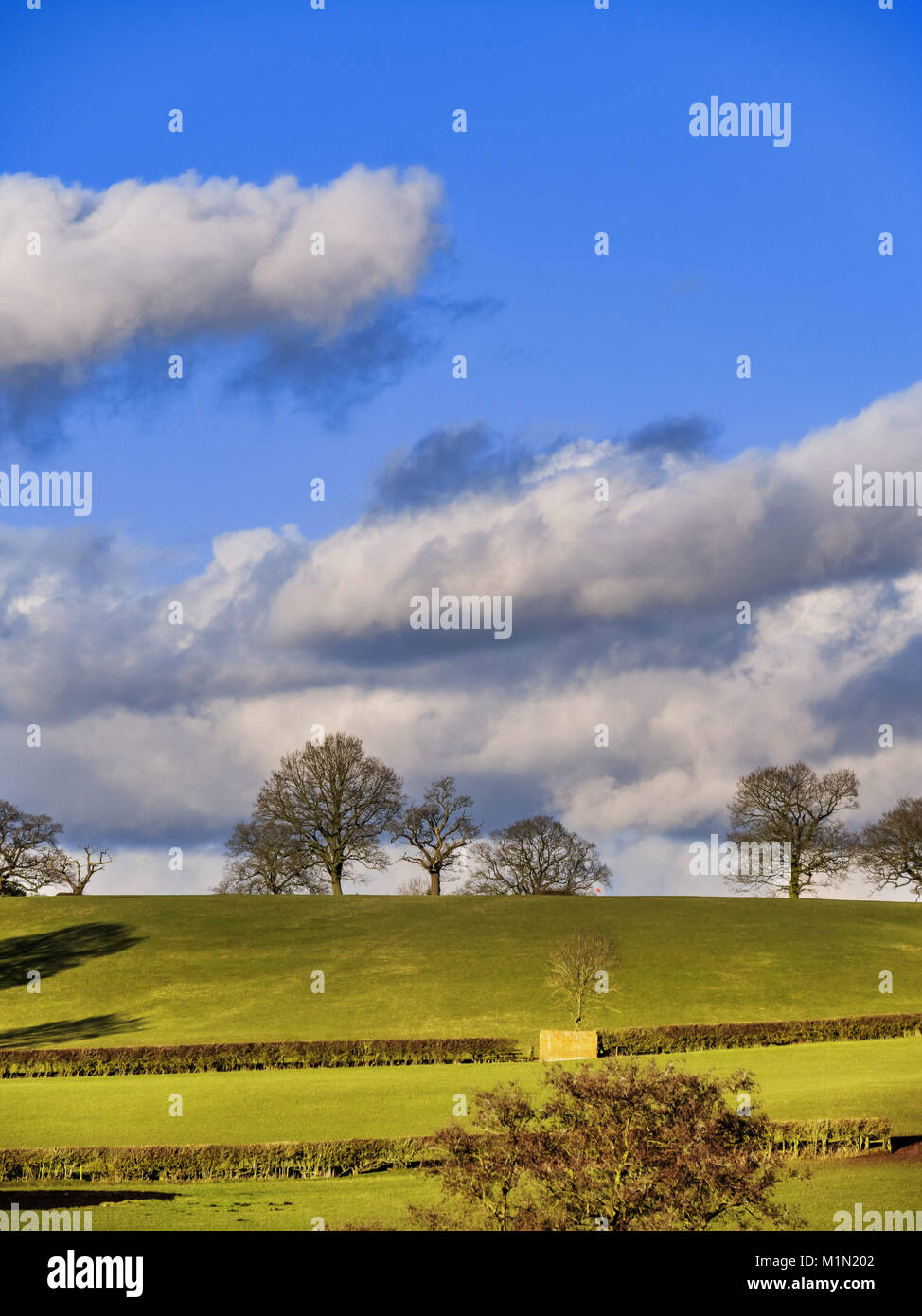 landscape farm farming fields lush green landscape england english uk ...