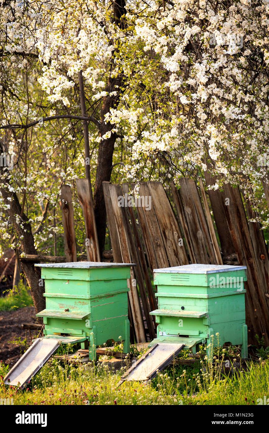 Beehive and meadows hi-res stock photography and images - Alamy
