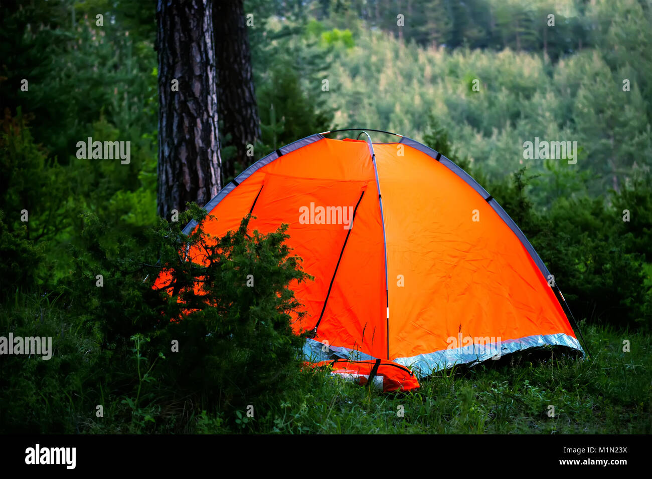 red tent in green forest- summer camp Stock Photo - Alamy