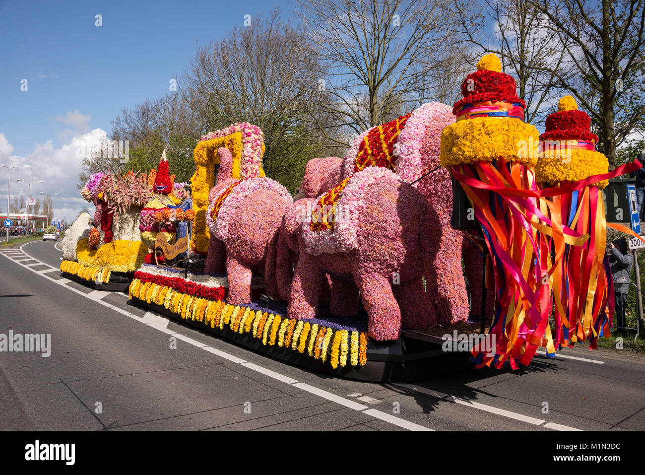 The annual flower parade involving twenty large floats plus 30 smaller ...