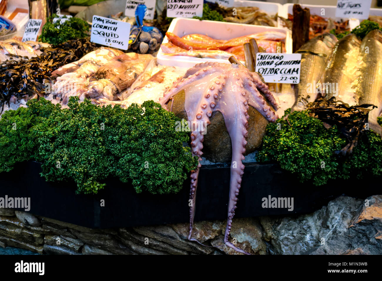 Octopus and other seafood for sale in Borough Market in London England ...