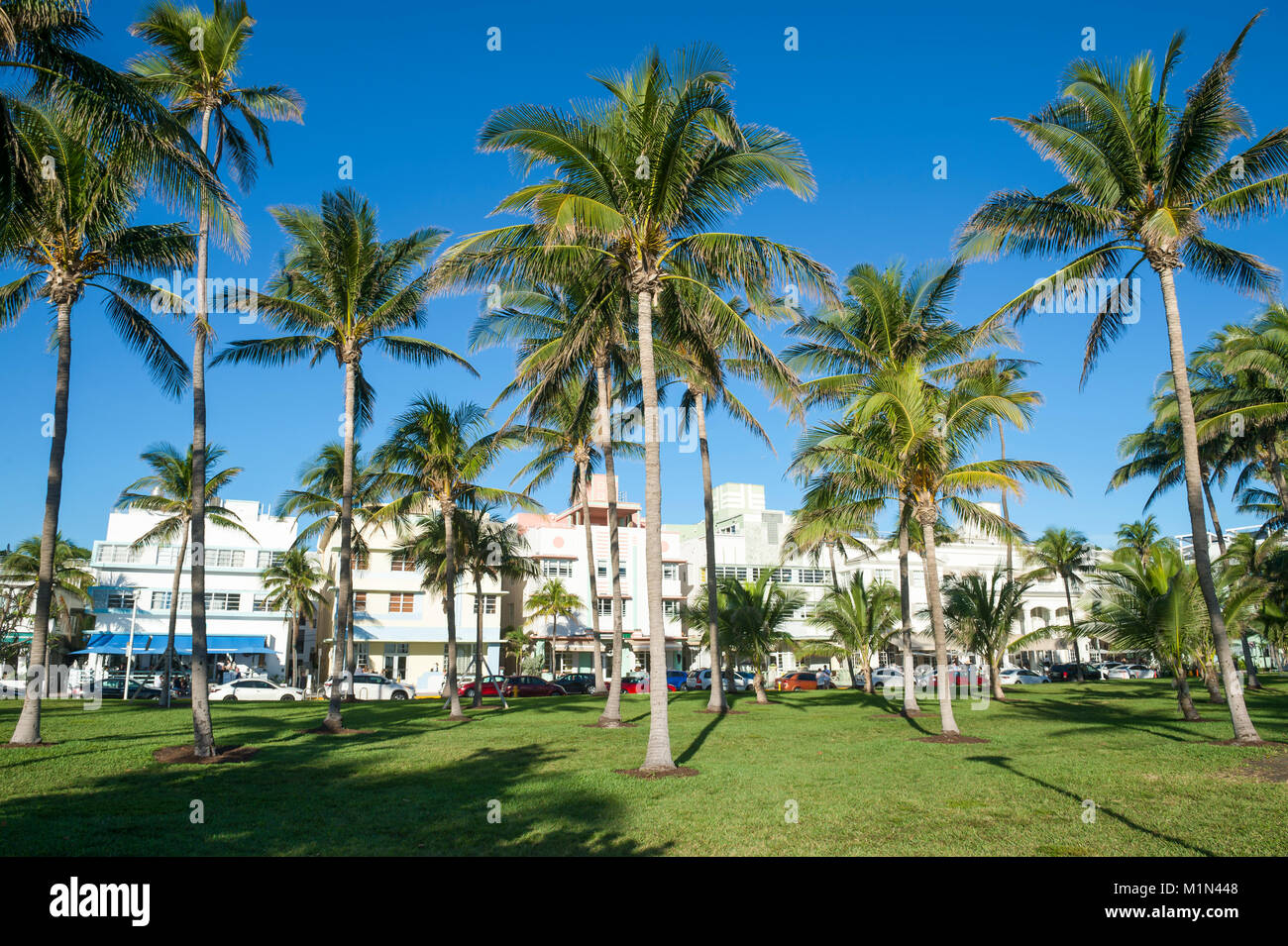 Bright scenic morning view of Lummus Park palm trees and Ocean Drive ...