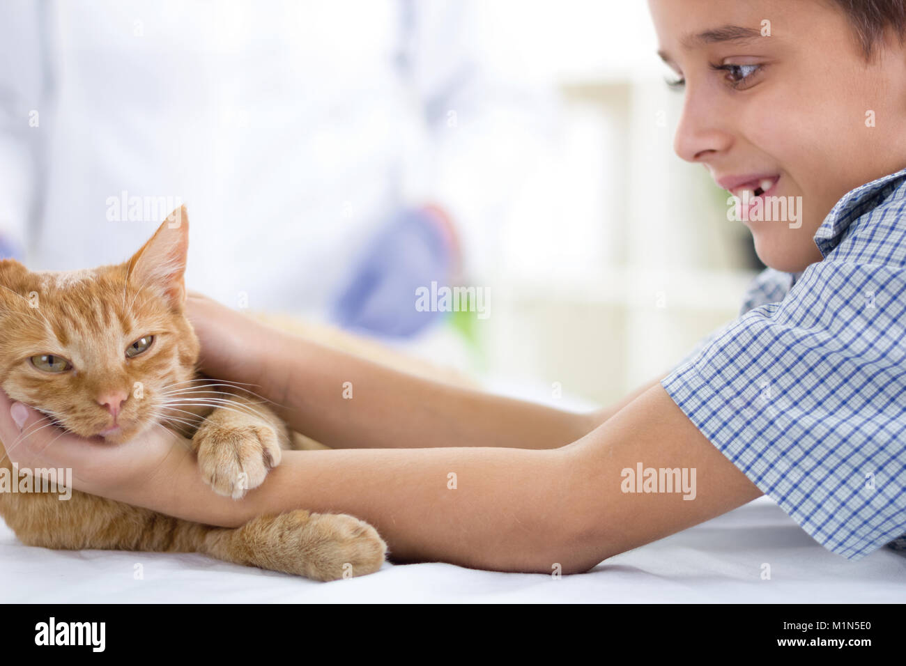 boy caressing cat at home Stock Photo - Alamy