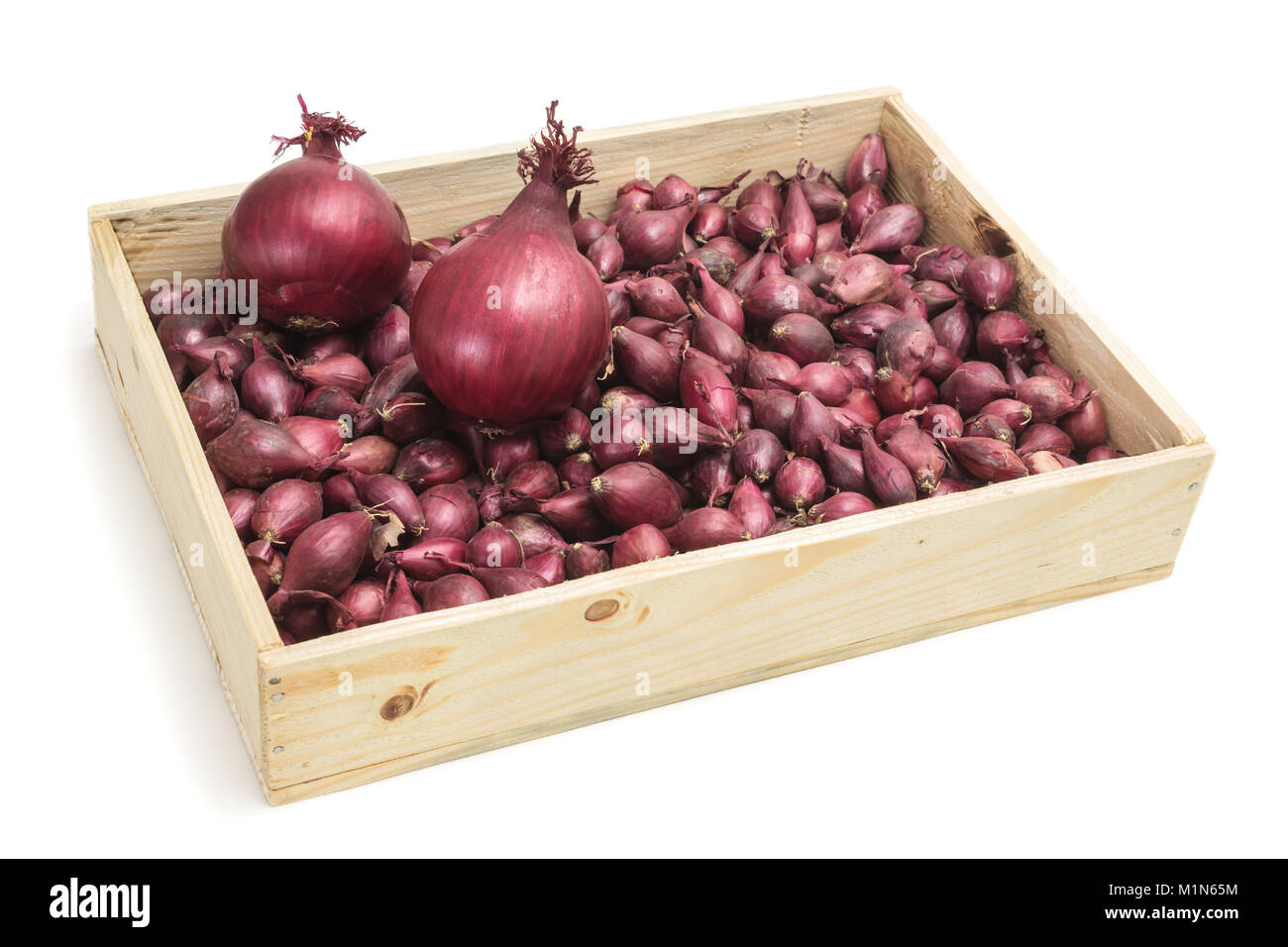 Onion sowing background hi-res stock photography and images - Alamy