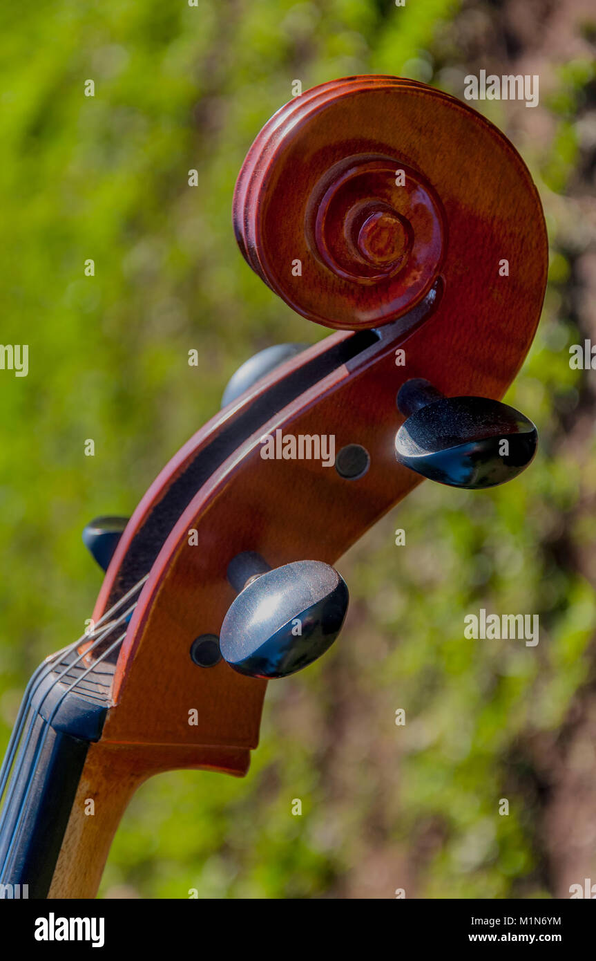 Cello handle hi-res stock photography and images - Alamy