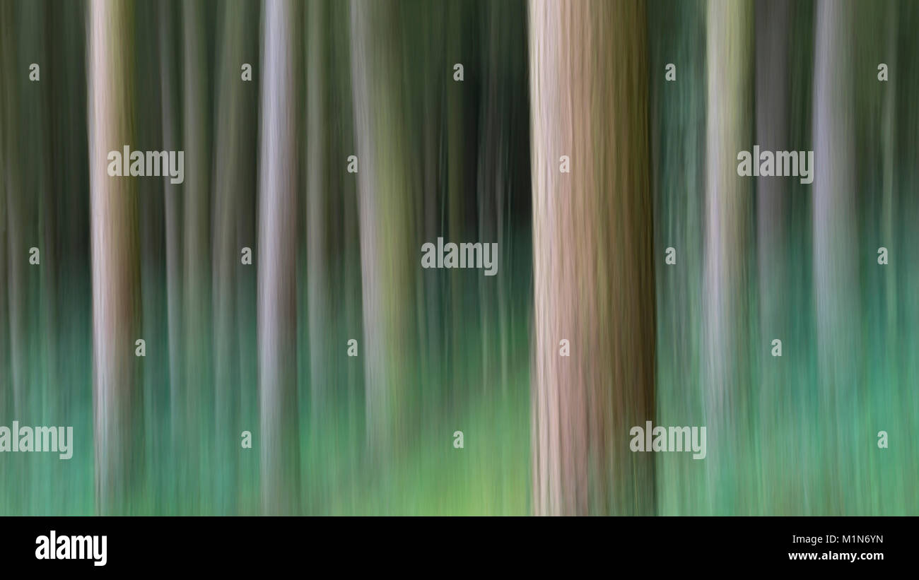 Abstract image of Forest above the Derwent valley in the Peak District ...