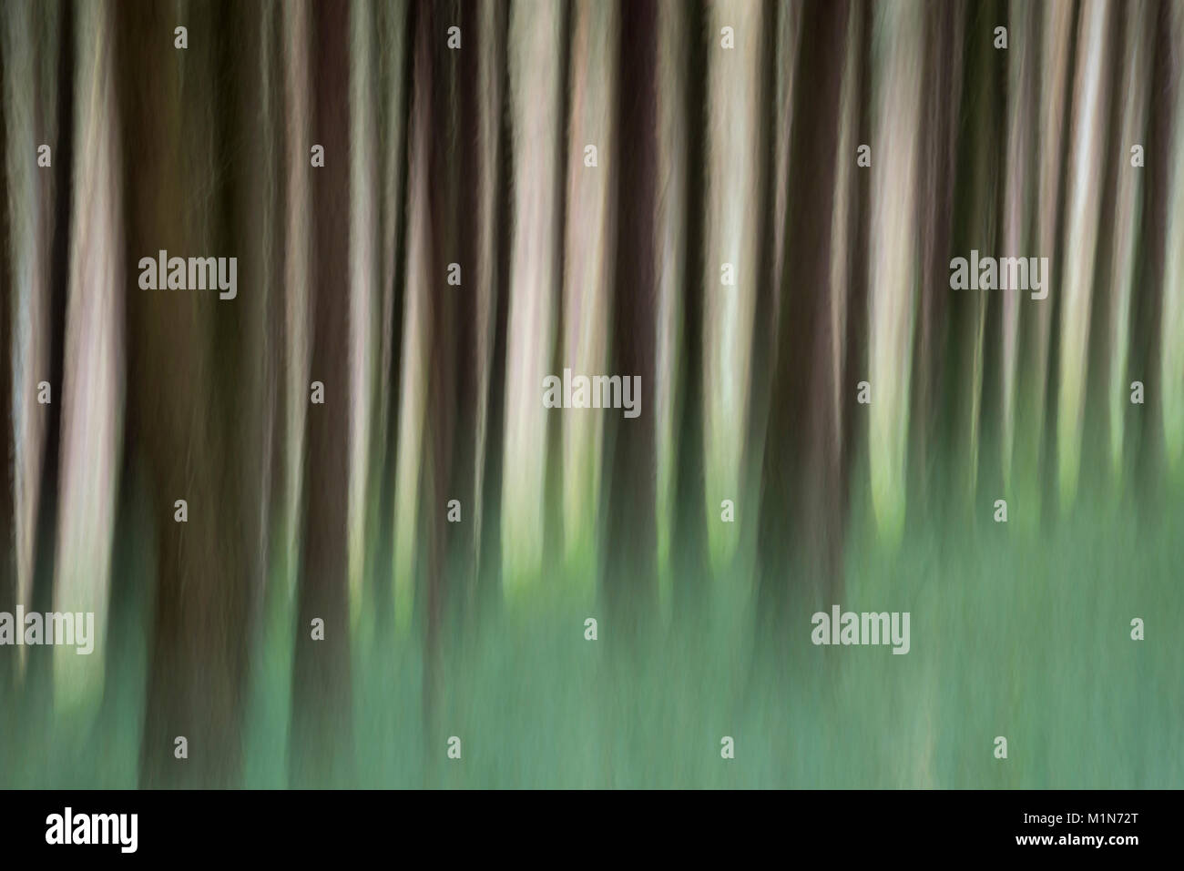 Abstract image of Forest above the Derwent valley in the Peak District ...