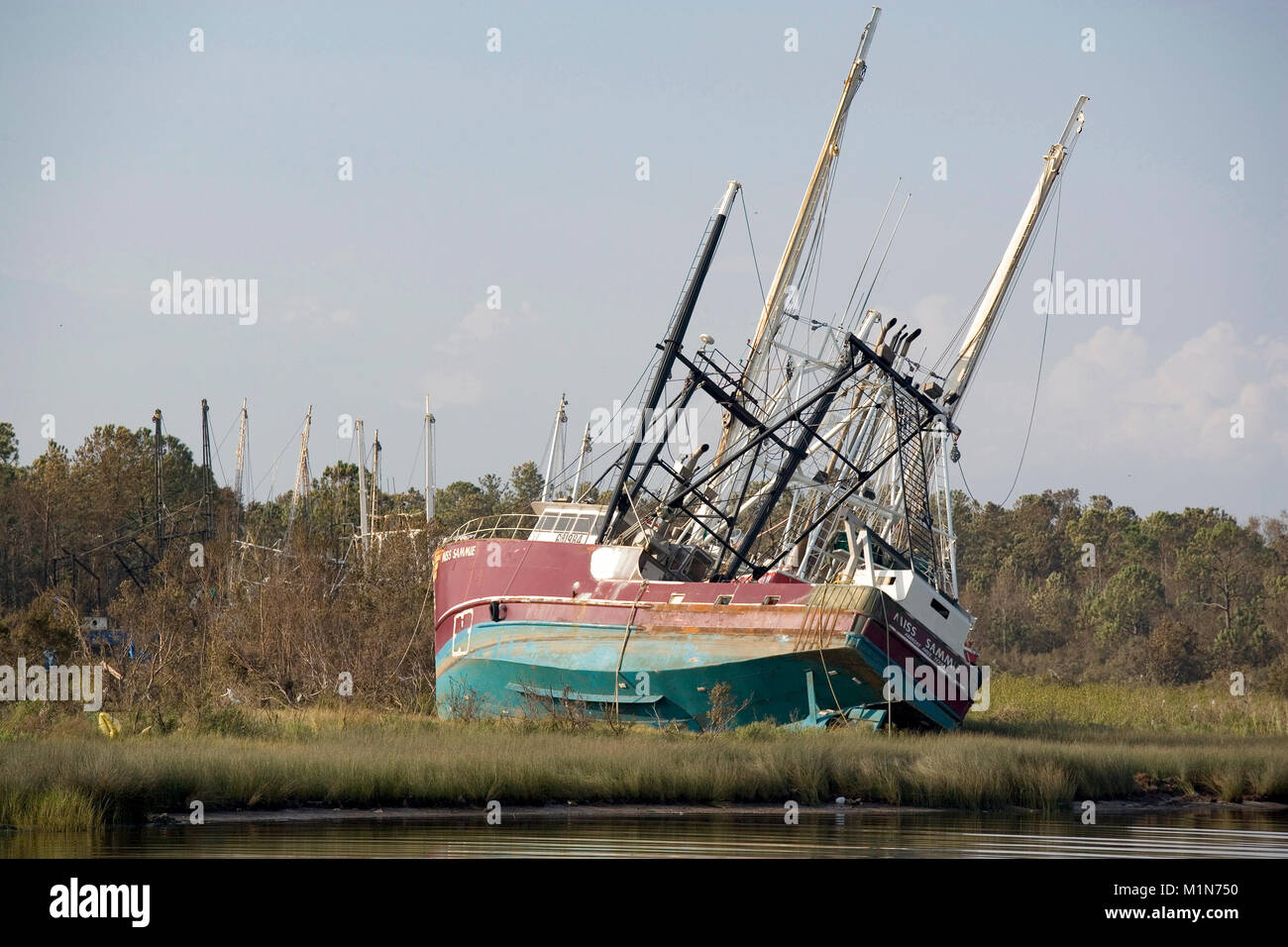 The shrimp trawler, Miss Sammie, washed up high on the beach. A number ...