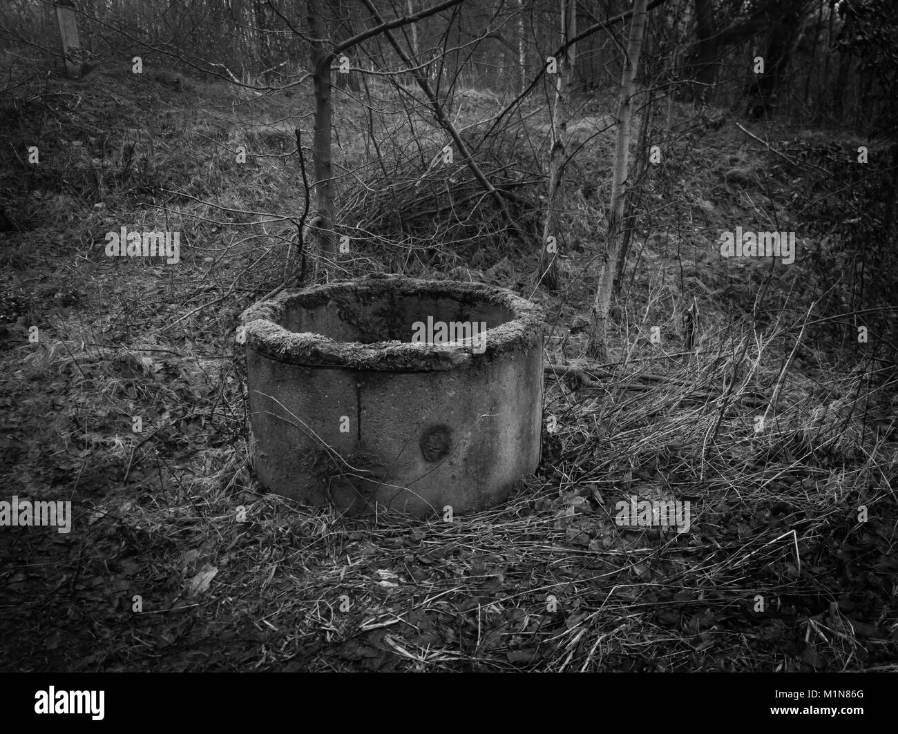 Abandoned well in the forest Stock Photo - Alamy