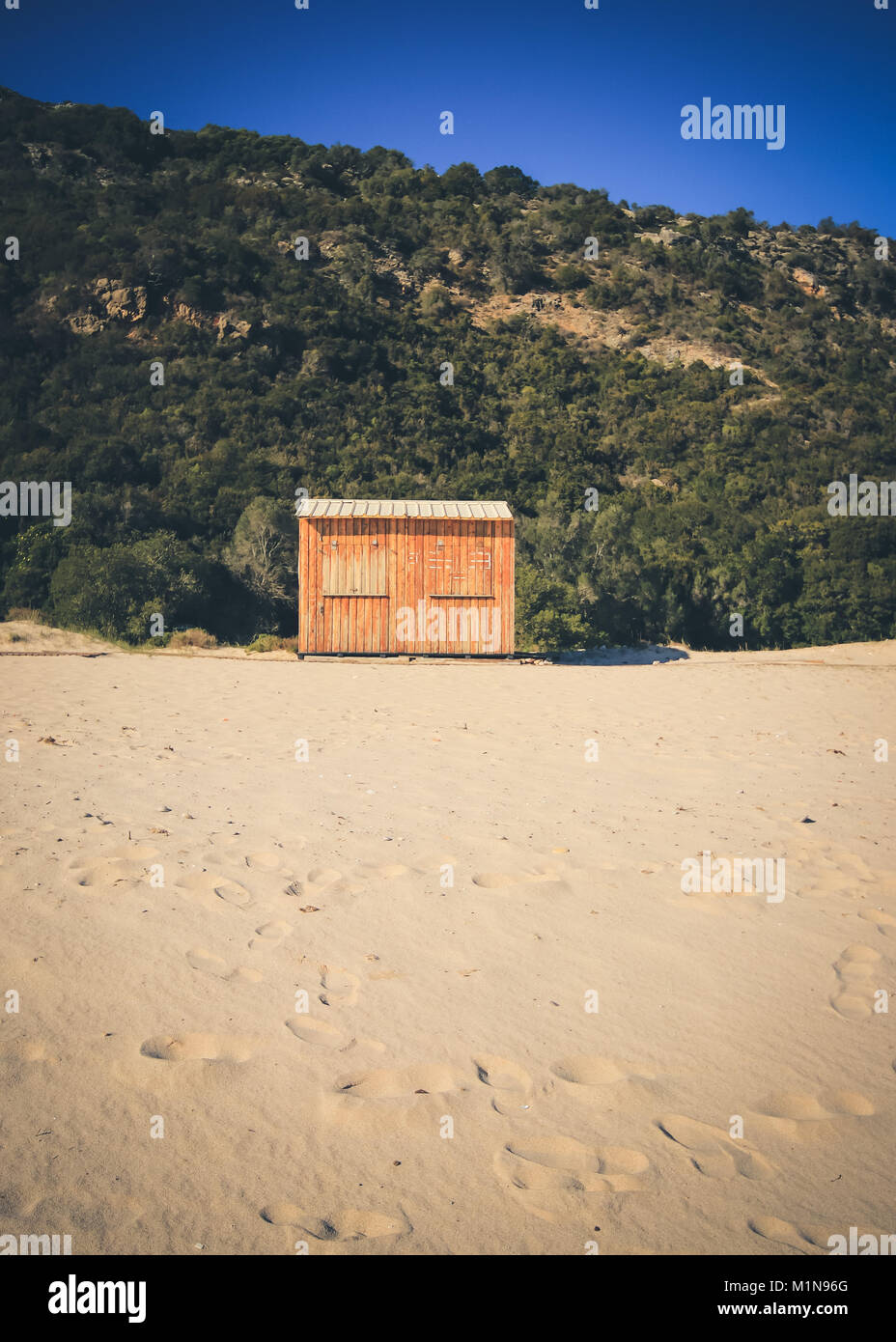 Wood Beach hut with vegetation in background Stock Photo - Alamy
