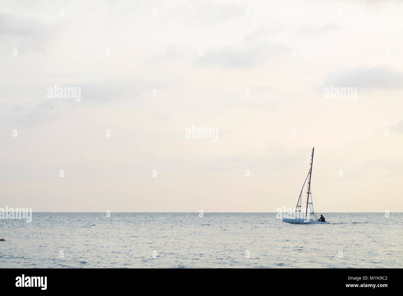 Happy man sailing catamaran Stock Photo - Alamy