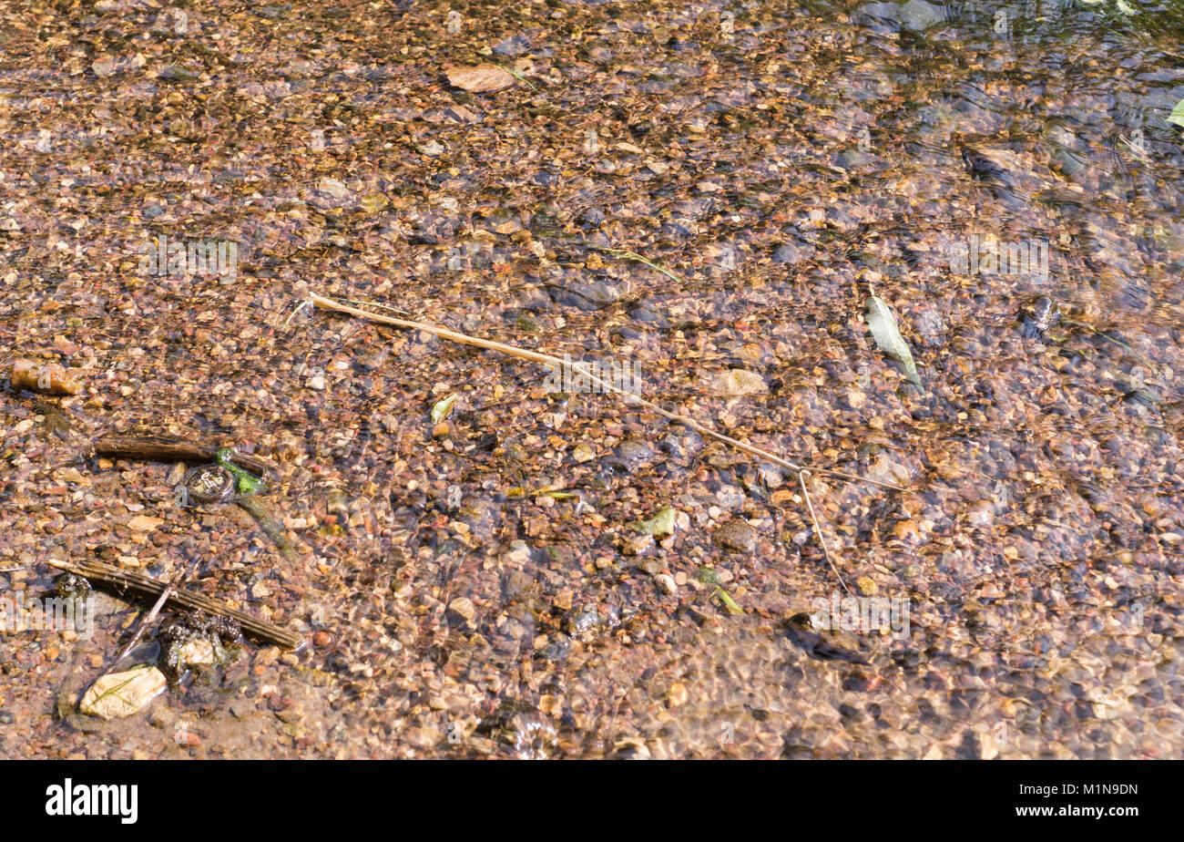 texture of water in shallow river with sandy bottom. background, nature ...