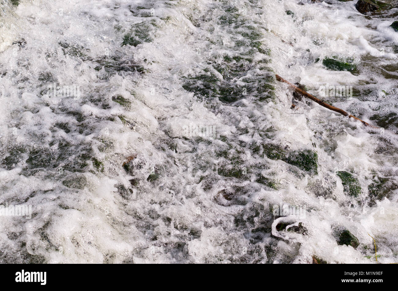 tree branch on rocks in stream, small waterfall. background, nature ...
