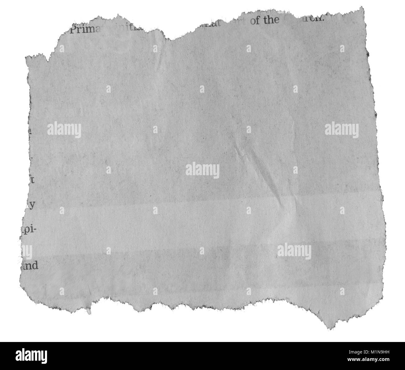 Piece of torn paper on plain background Stock Photo - Alamy