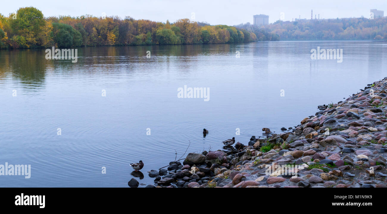 calm riverside at rainy autumn morning. background, nature Stock Photo ...