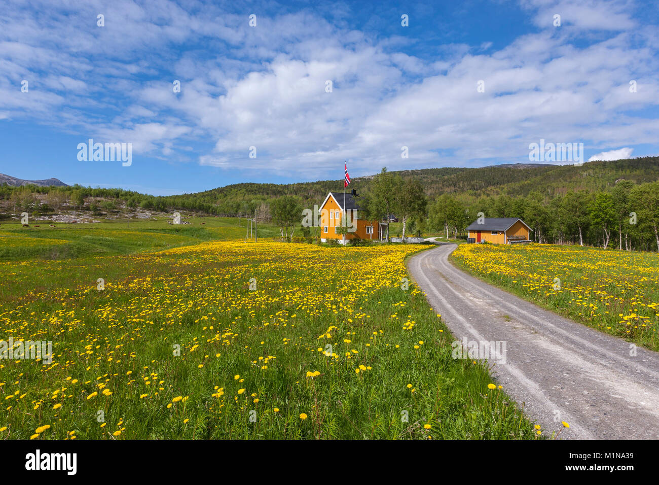 Scandinavian wooden house with norwegian flag along Norwegian County ...