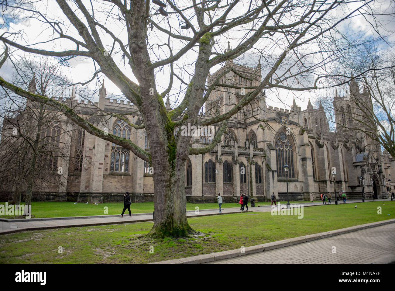 Bristol Cathedral taken from the College Green, with a tree in the ...