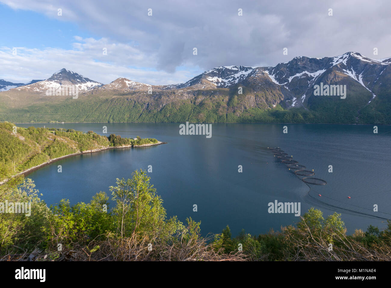Farm fishing hi-res stock photography and images - Alamy