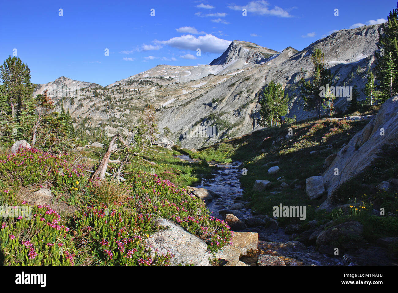 Evening sun lights up Eagle Cap Peak along the Ivan Carper Trail in the ...