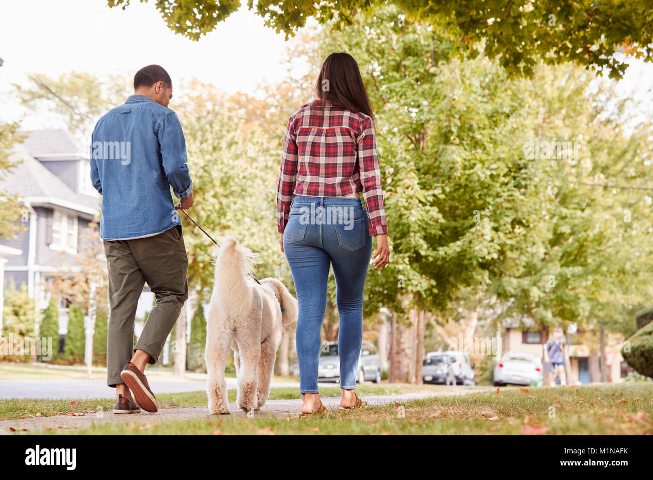 Rear View Of Couple Walking Dog Along Suburban Street Stock Photo - Alamy