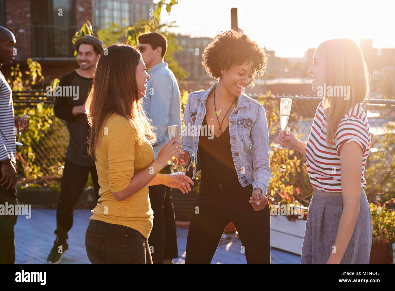 Female friends dancing and drinking at a rooftop party Stock Photo - Alamy