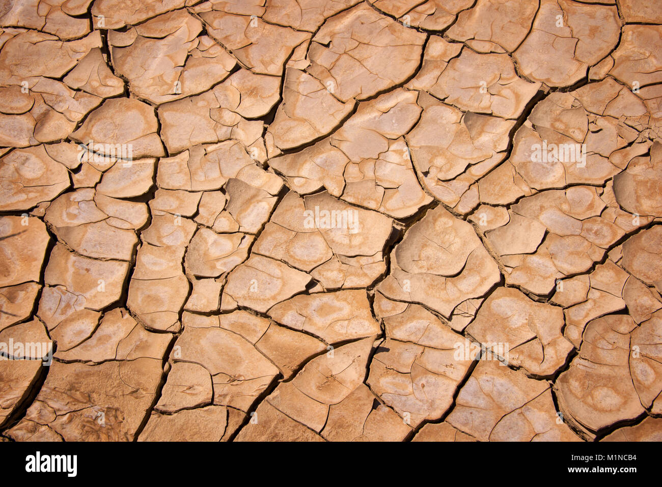 Dry cracked earth background, clay desert texture Stock Photo - Alamy
