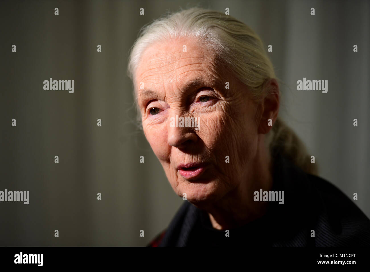 Dr. Jane Goodall attending the National Geographic 'an Evening of ...
