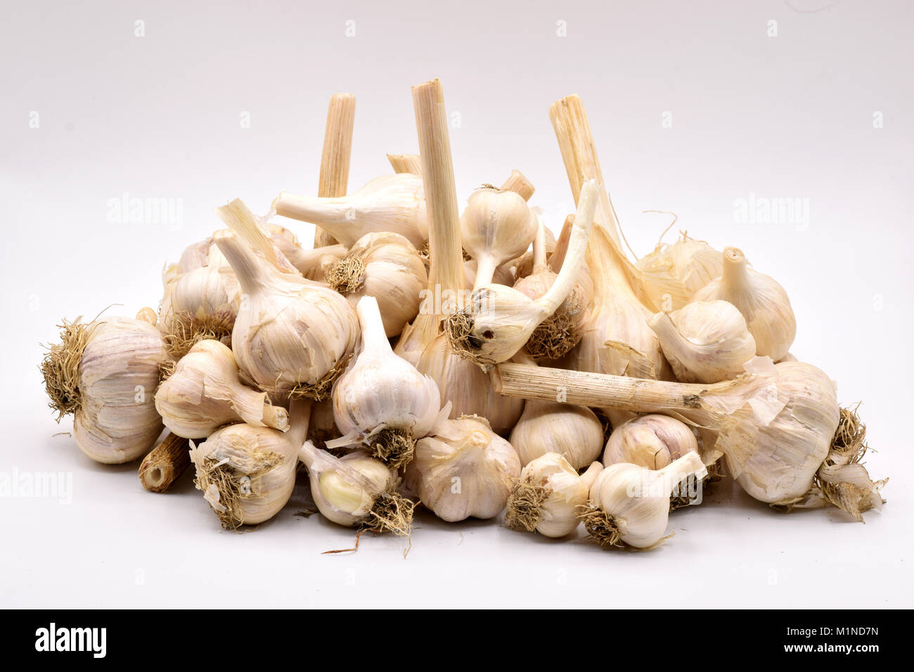 Delicious garlic bulbs with long stems arranged on a seamless white ...