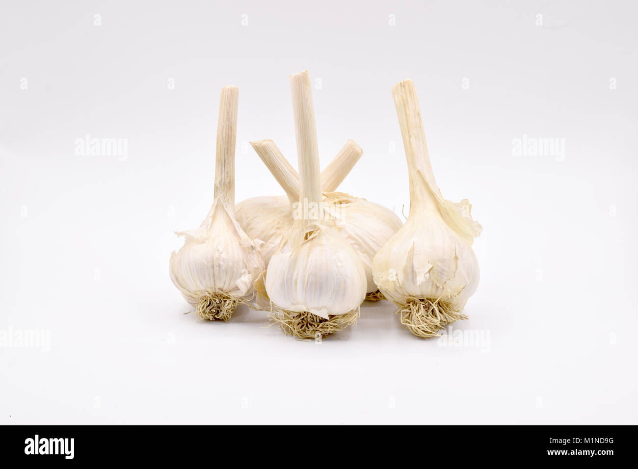 Delicious garlic bulbs with long stems arranged on a seamless white ...