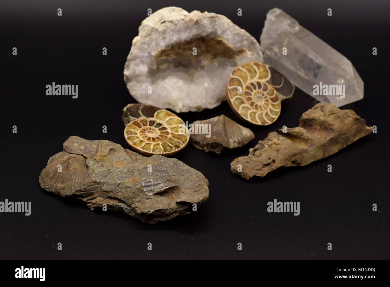 Recrystallization Fossil