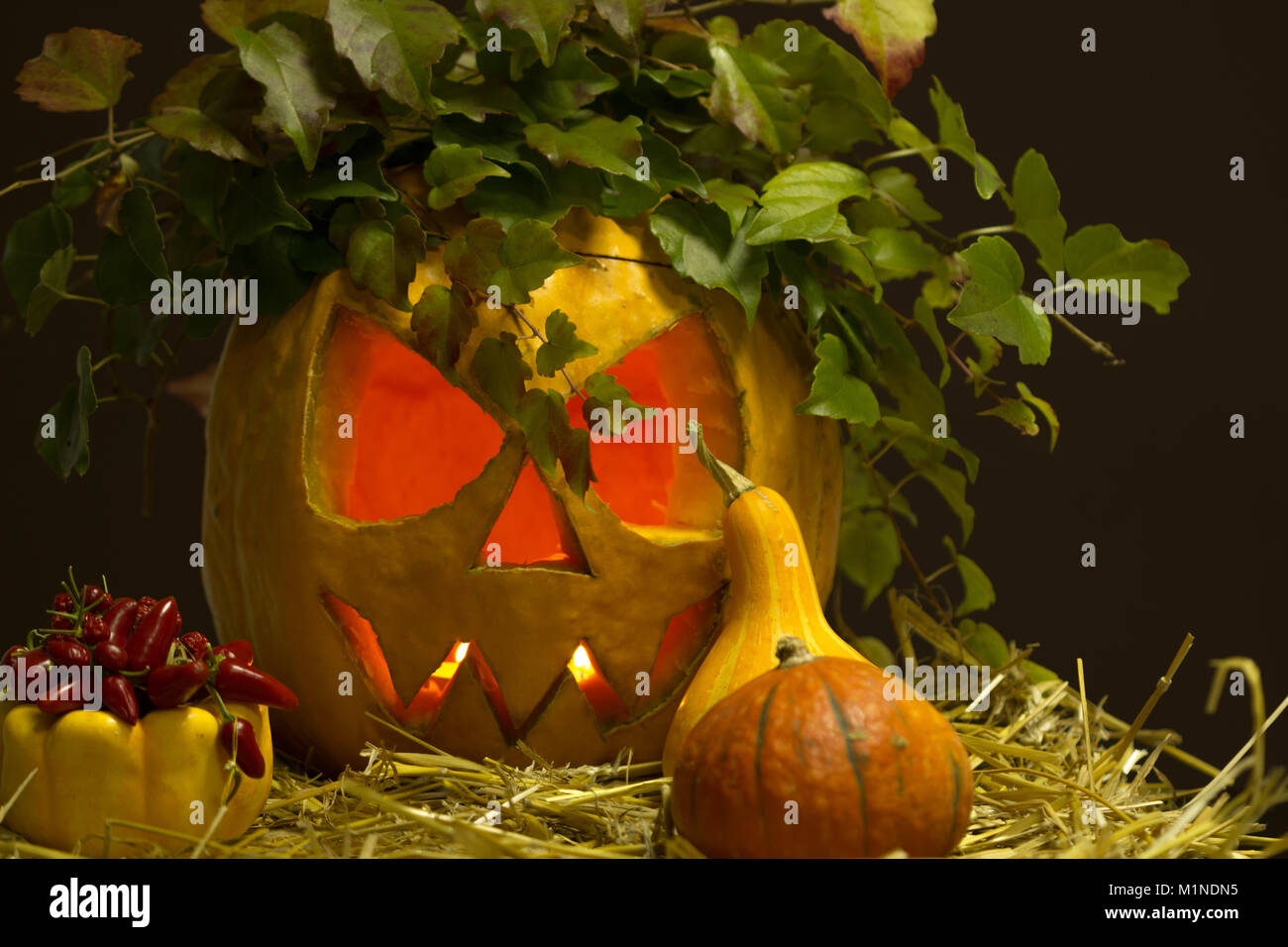 Glowing pumpkin close up hi-res stock photography and images - Alamy