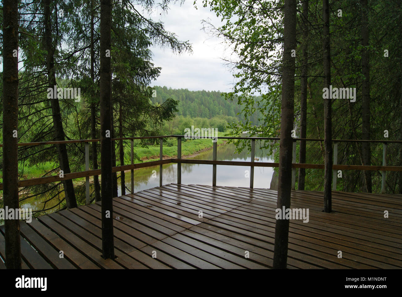 observation deck with tree trunks passing through the boardwalk above a ...