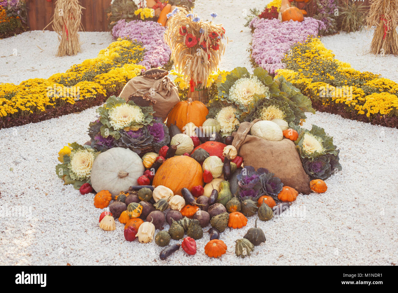 Beautiful autumn composition of flowers and vegetables Stock Photo - Alamy