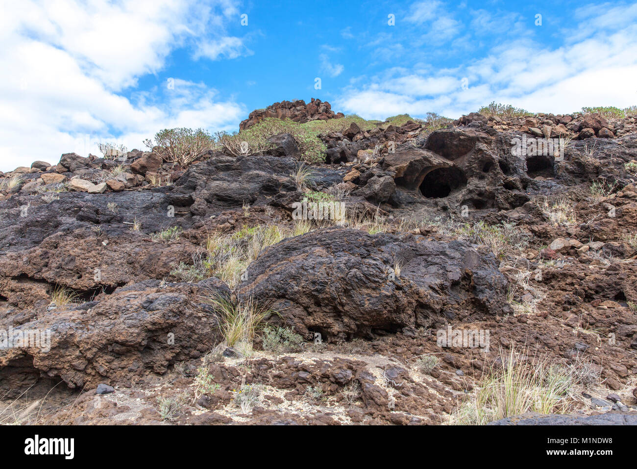 La Linde ravine in Tenerife, Canary Islands, Spain Stock Photo - Alamy