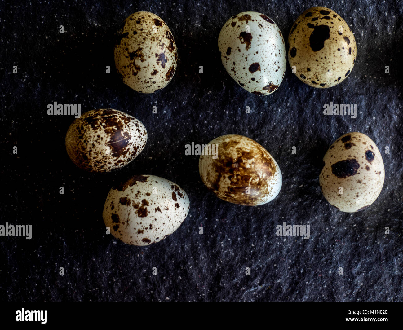 Quail eggs on black hi-res stock photography and images - Alamy