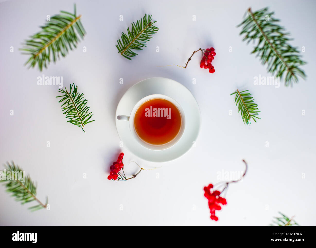 flatlay with white tea set full of tea surrounded by falling down ...