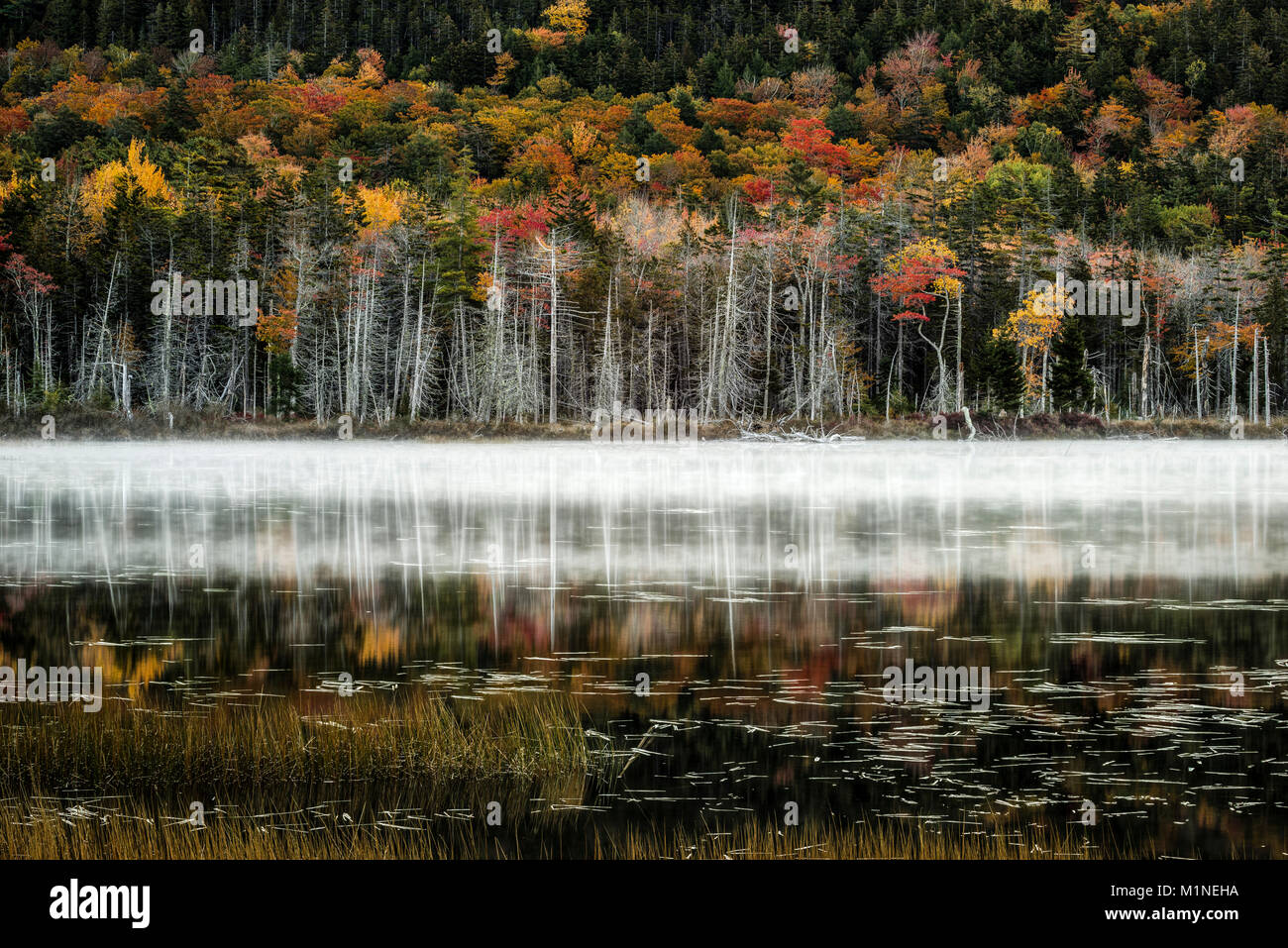 Upper Hadlock Pond Acadia National Park, Mount Desert Island, Maine ...