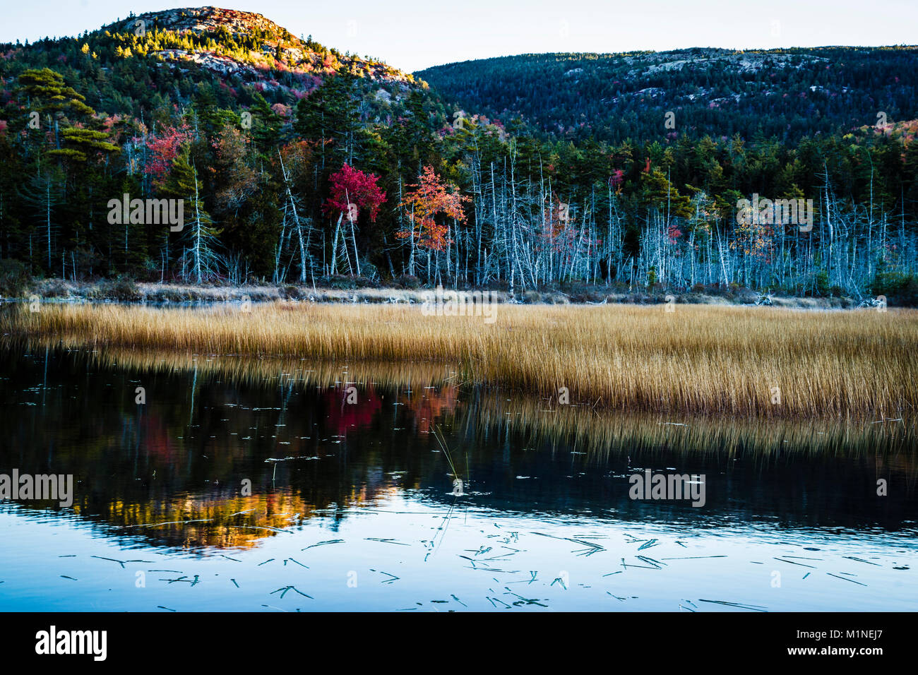 Upper Hadlock Pond Acadia National Park, Mount Desert Island, Maine ...