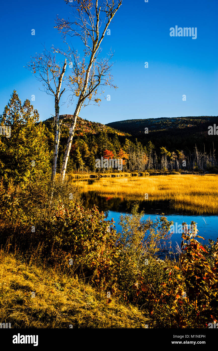 Upper Hadlock Pond Acadia National Park, Mount Desert Island, Maine ...