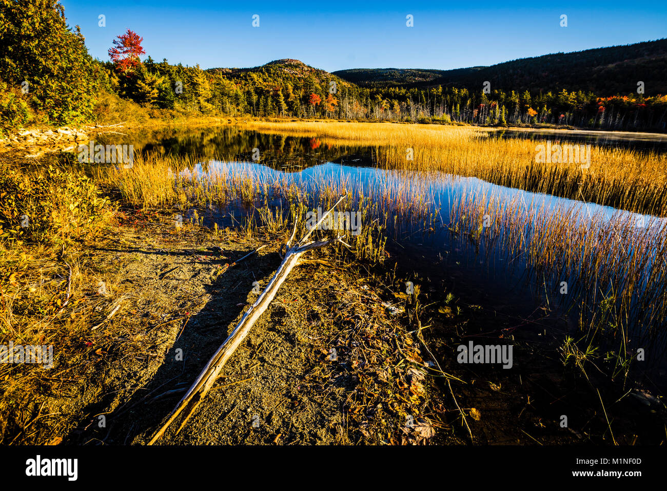 Upper Hadlock Pond Acadia National Park, Mount Desert Island, Maine ...