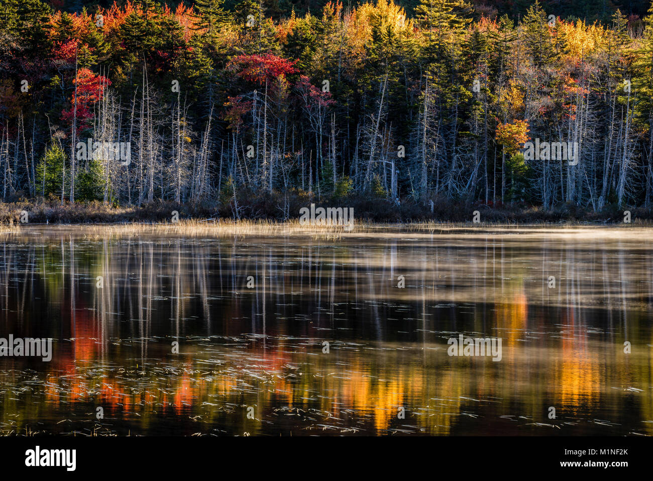 Upper Hadlock Pond Acadia National Park, Mount Desert Island, Maine ...