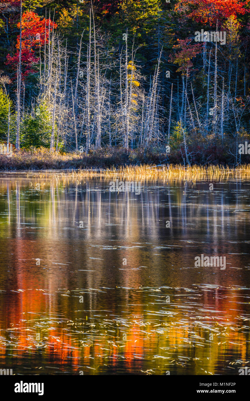 Upper Hadlock Pond Acadia National Park, Mount Desert Island, Maine ...