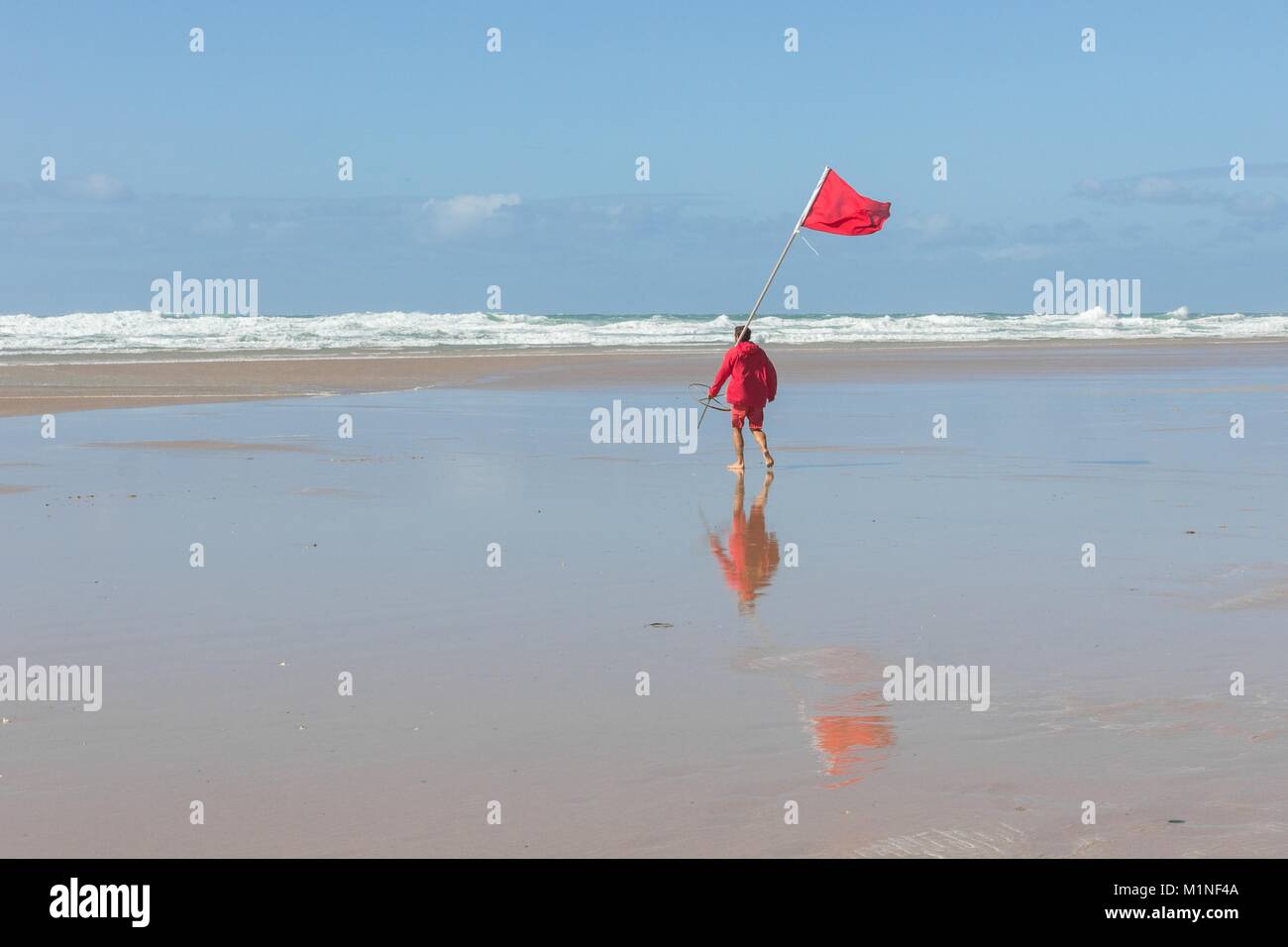 A Cornish lifeguard positioning a red flag to warn swimmers and surfers ...